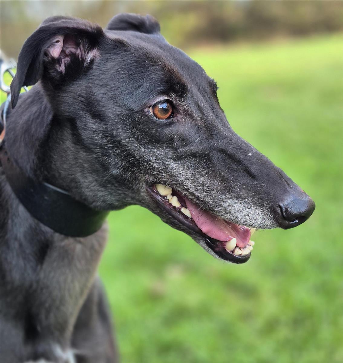 Ethel | Blue Cross