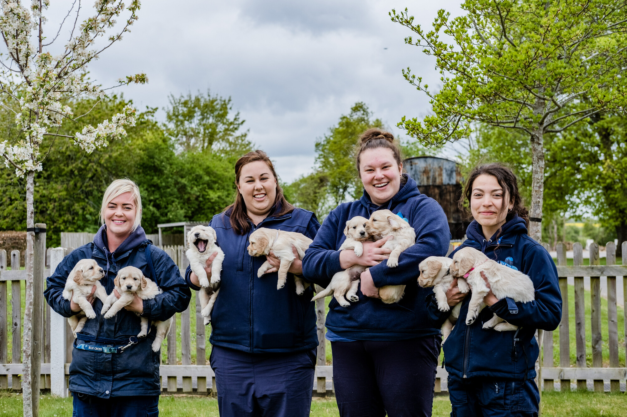 ‘Miracle’ puppies raised by Blue Cross | Blue Cross
