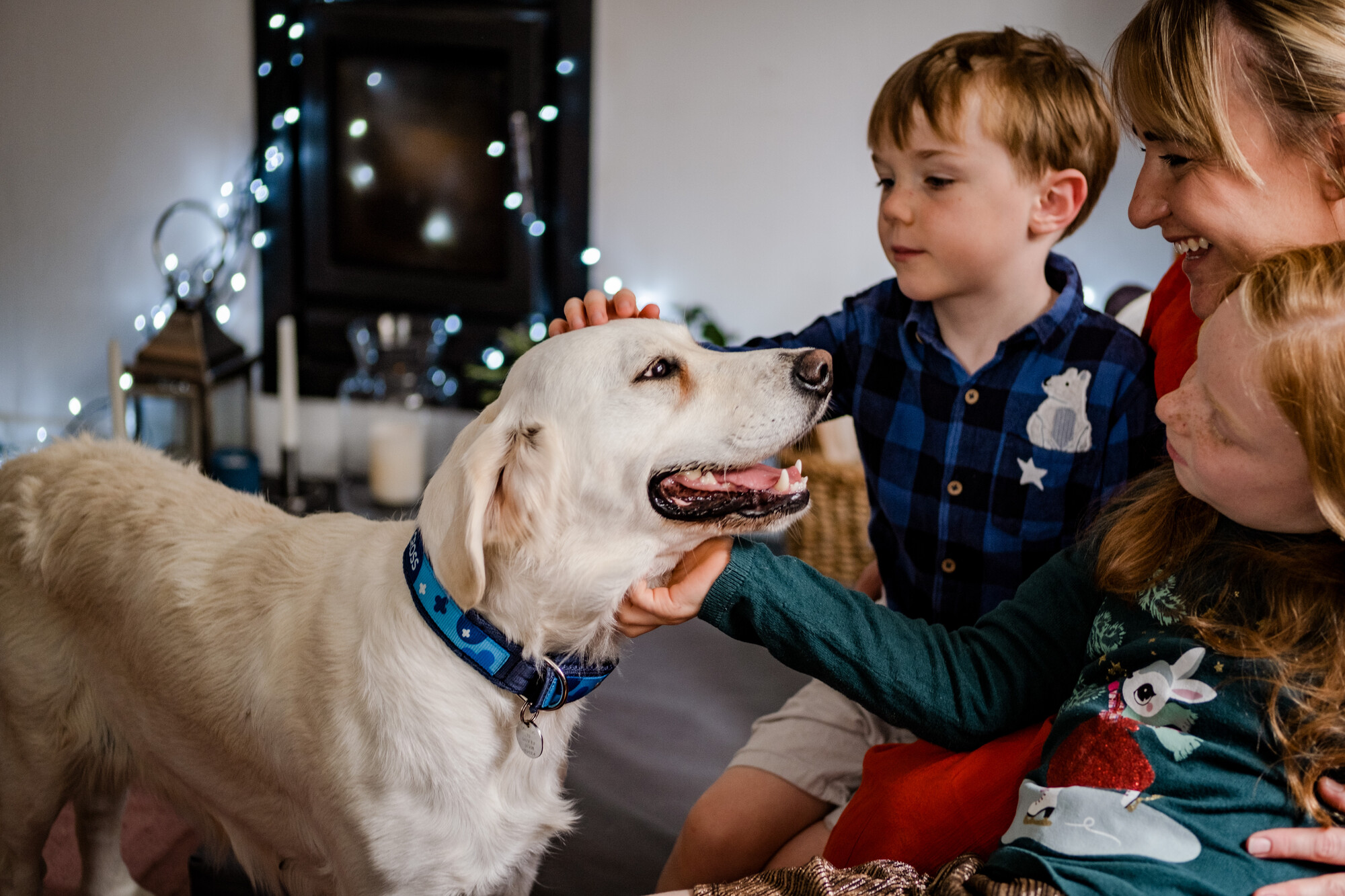 Backyard Breeders Dump Sick Dog | Blue Cross