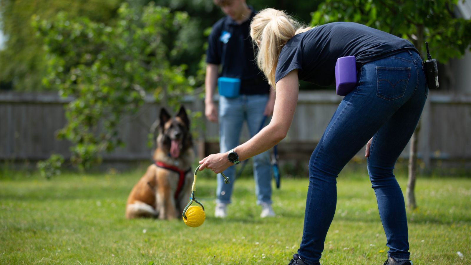 Blue Cross | Pets change lives. We change theirs.