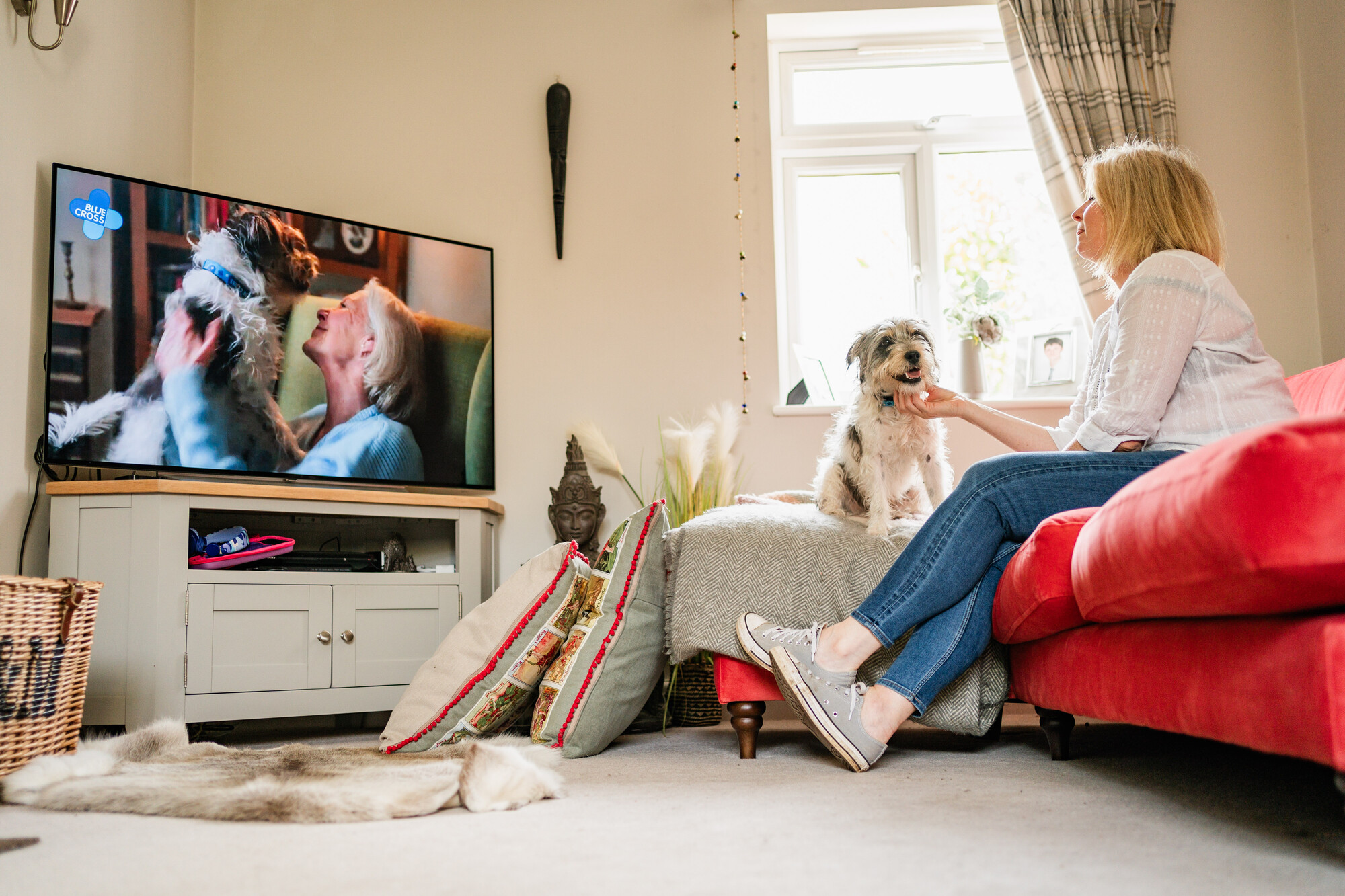 Homeless Pup To TV Star | Blue Cross