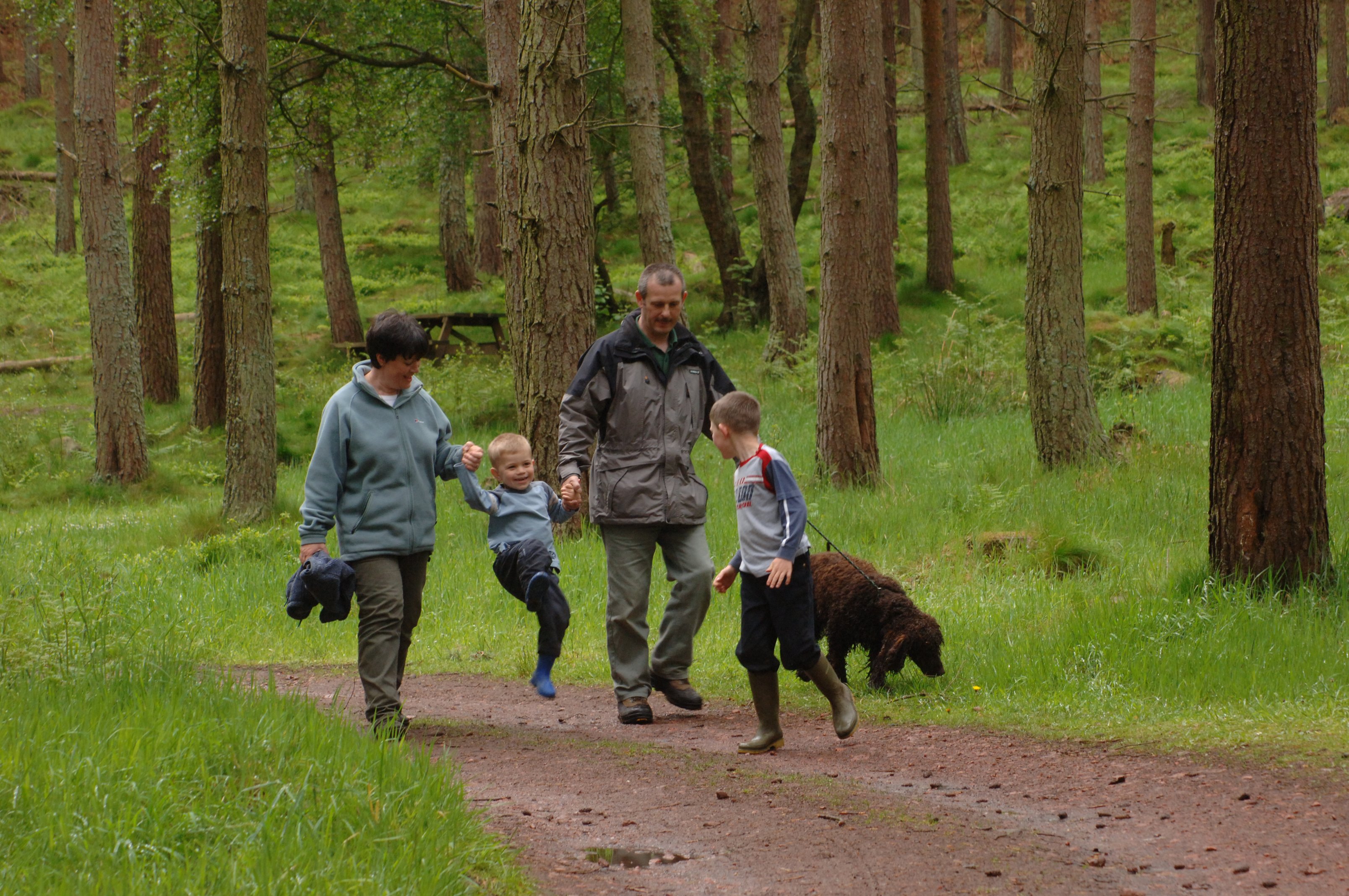Best Forests for Dog Walking | Blue Cross