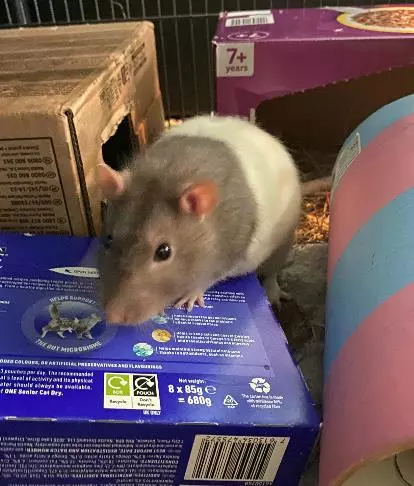 Marv (& Harry) | Blue Cross
