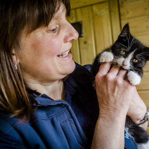 Volunteering at Blue Cross | Volunteer and help pets