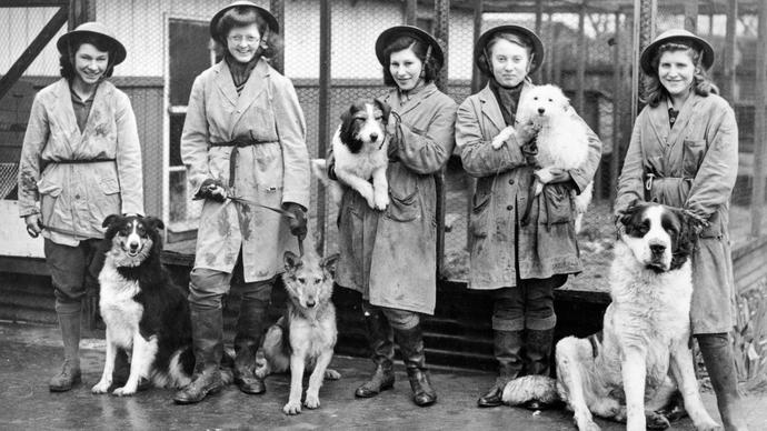 Blue Cross | 125 years of changing pets' lives