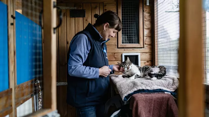 Blue Cross | Pets change lives. We change theirs.