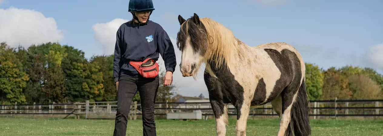 Volunteer With Horses | Blue Cross