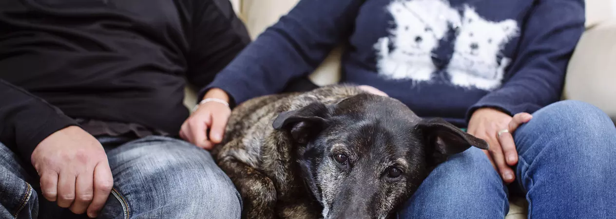 breakup support group uk